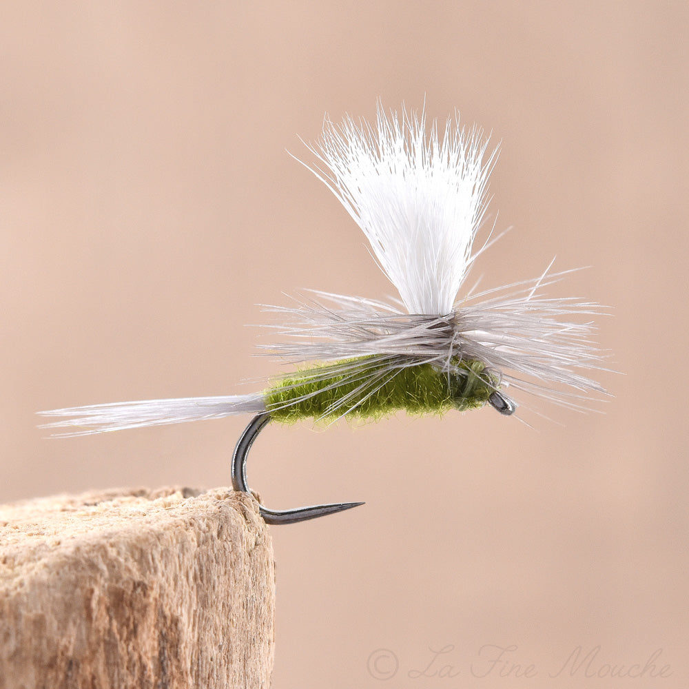 Mouche Sèche - Baetis Olive Parachute – La Fine Mouche