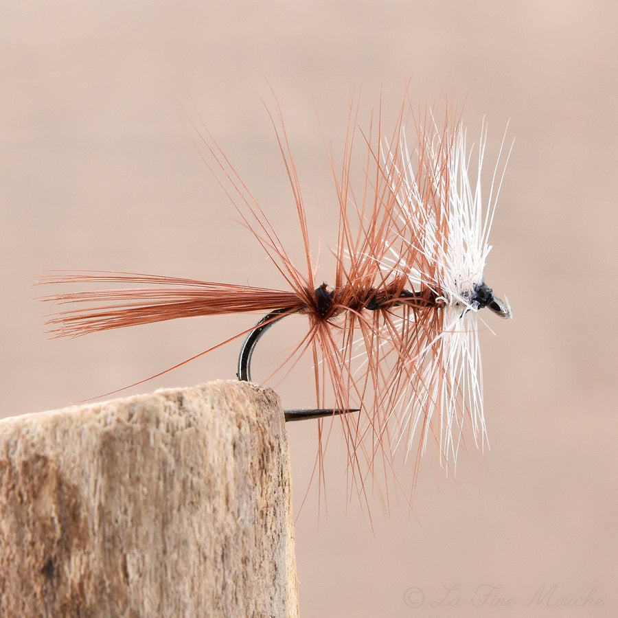 Mouches Artificielles pour pêche à la Mouche – La Fine Mouche