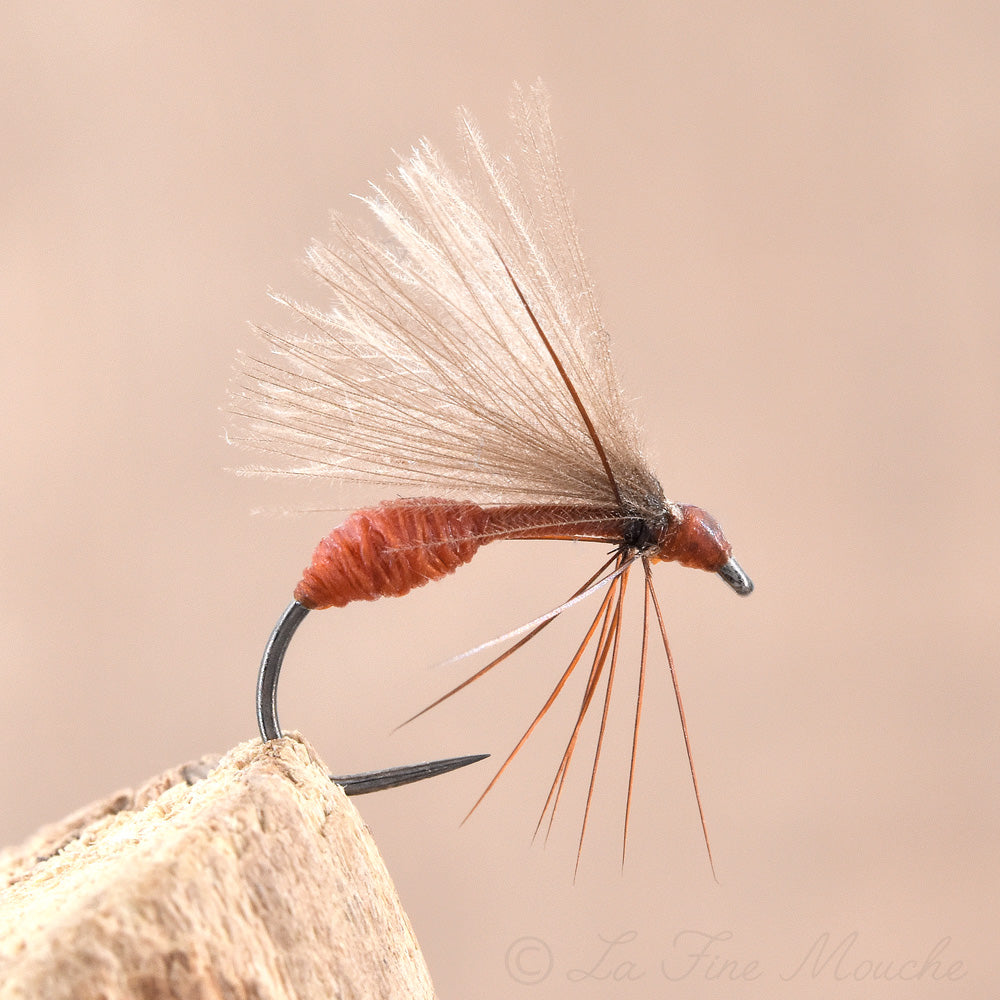 Mouche Sèche - Fourmis Rouge Aile CDC Deluxe – La Fine Mouche