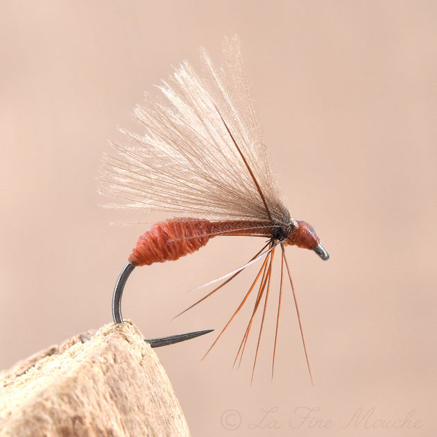 Mouche Sèche - Fourmis Rouge Aile CDC Deluxe – La Fine Mouche