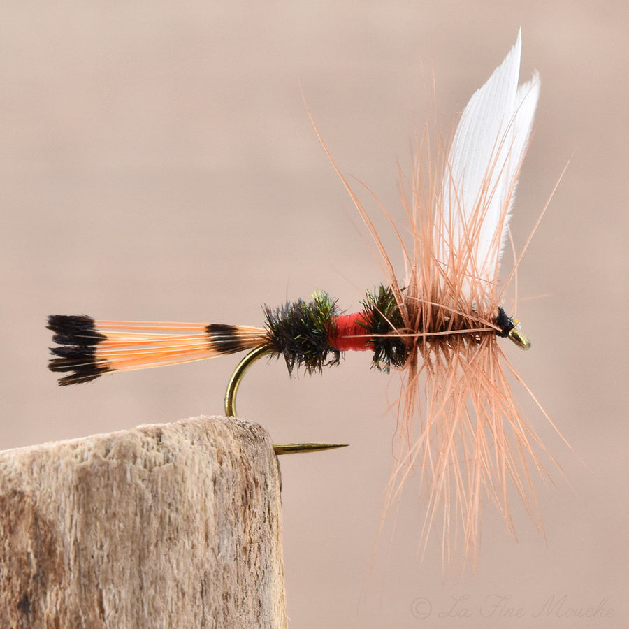 Mouches Artificielles pour pêche à la Mouche – La Fine Mouche