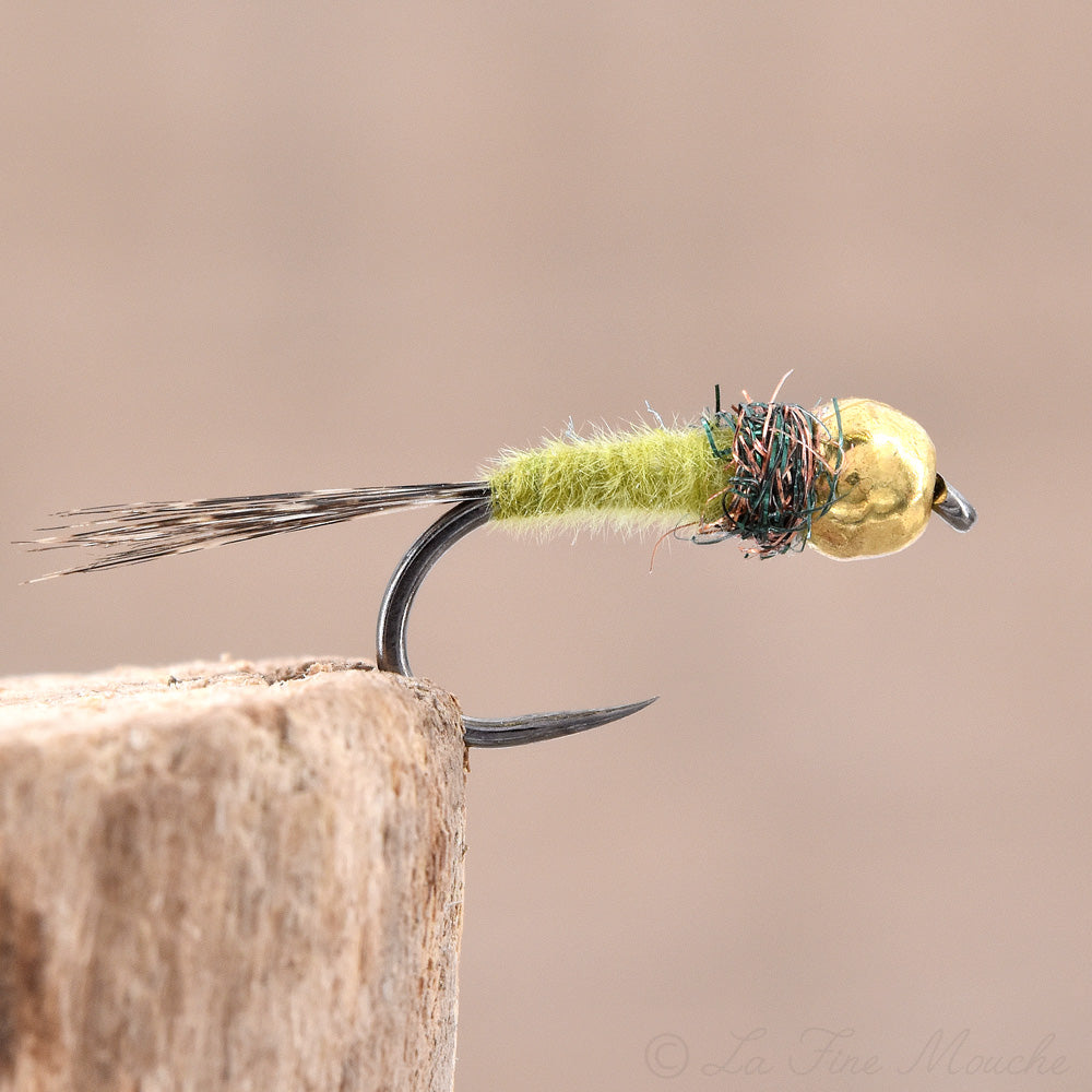 Green Body Nymph With Gold Tungsten Bead Size 14 - La Fine Mouche